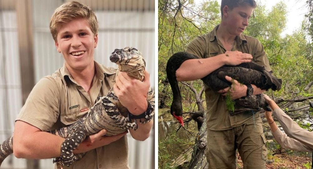 Fans react to Robert Irwin's ghastly knee injury | New Idea