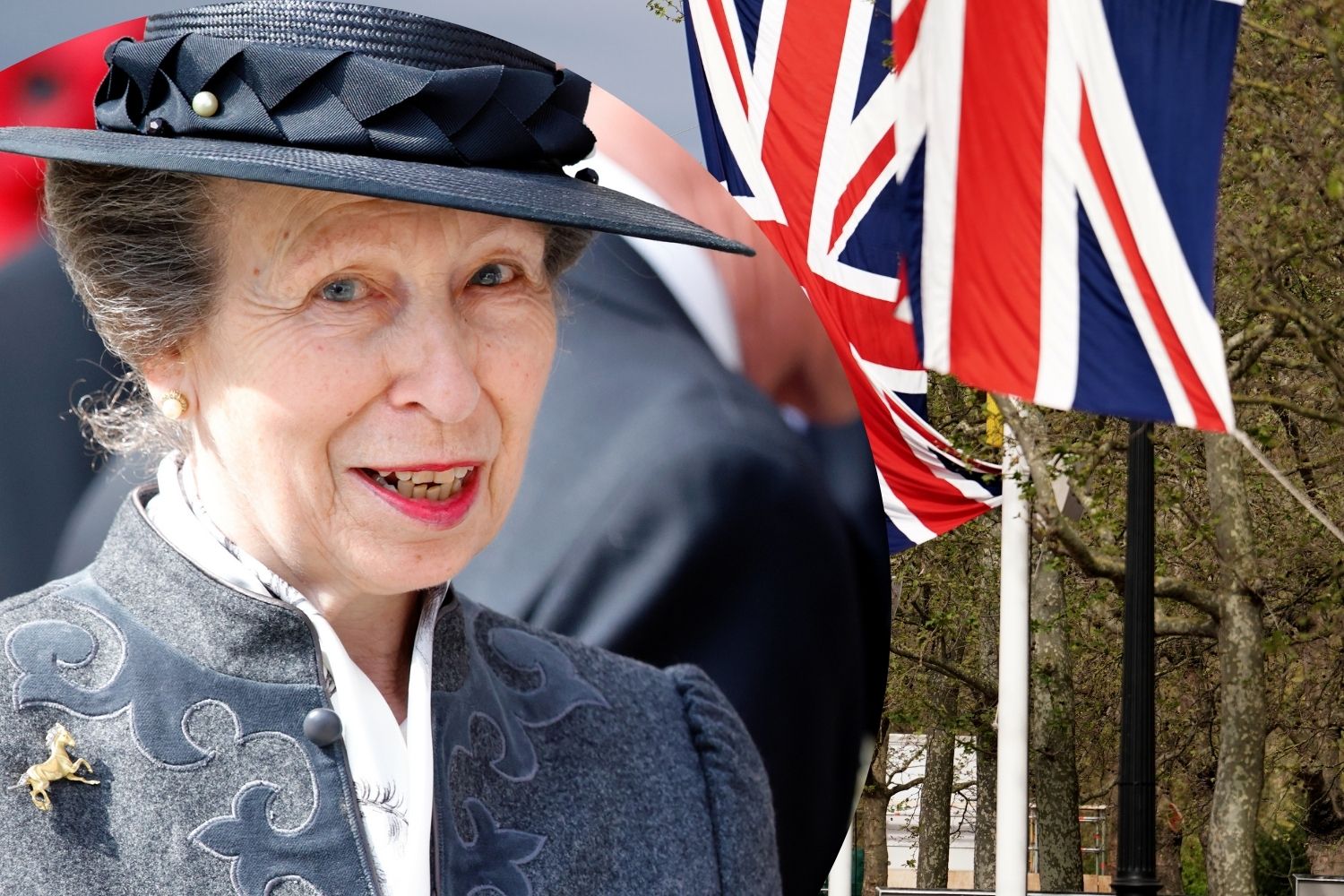 Princess Anne says the british royal family is still relevant in rare ...