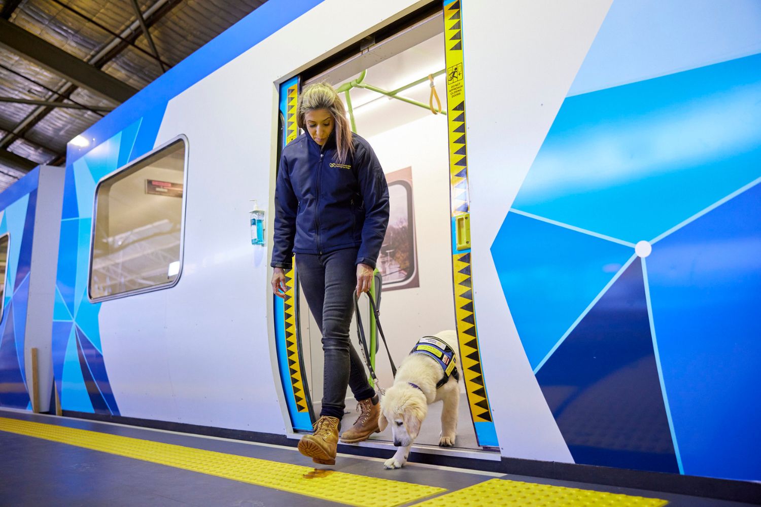 Here's how you can help train the newest generation of Seeing Eye Dogs ...