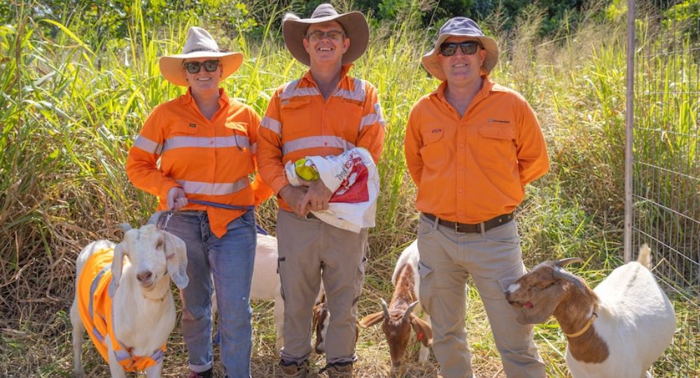 Meet the firefighting goats of Queensland | New Idea