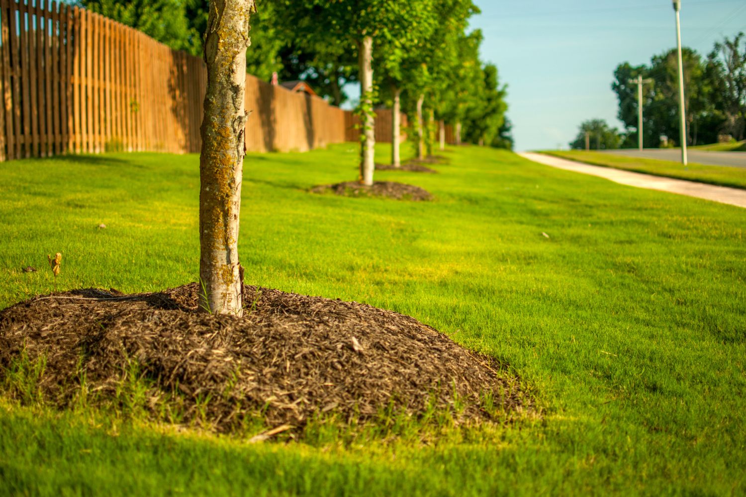 What is volcano mulching? | New Idea