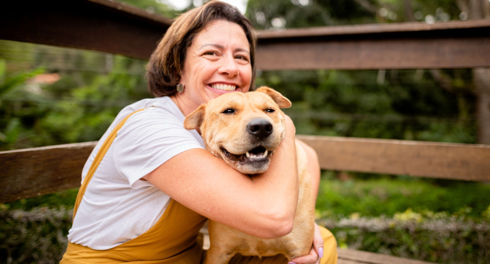 7 ways to become a successful pet foster parent | New Idea