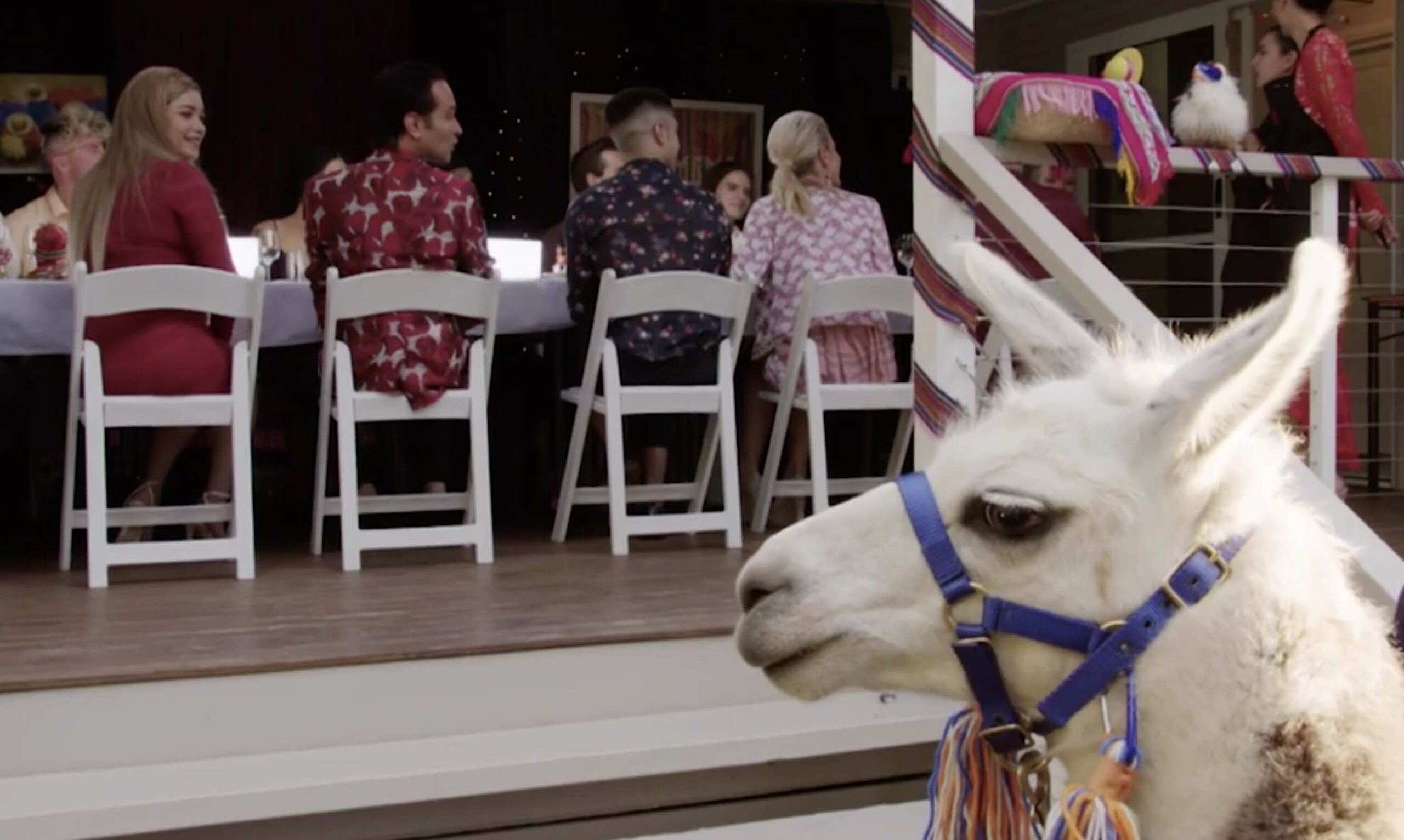 My Kitchen Rules Andy and Ruby shock judges | New Idea