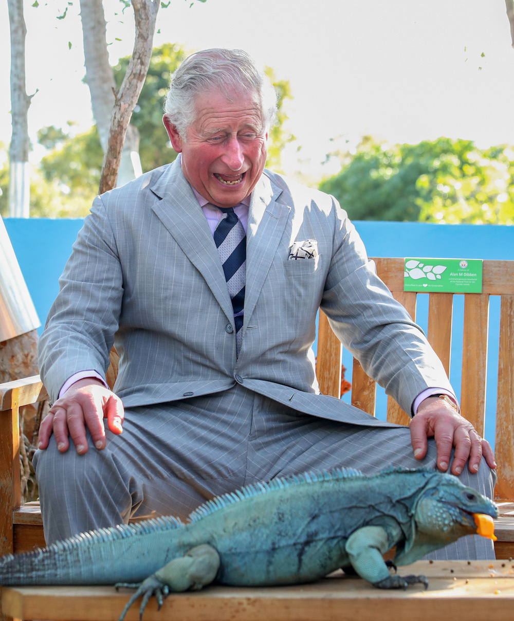 Prince Charles can't keep the smile off his face in the Cayman Islands ...