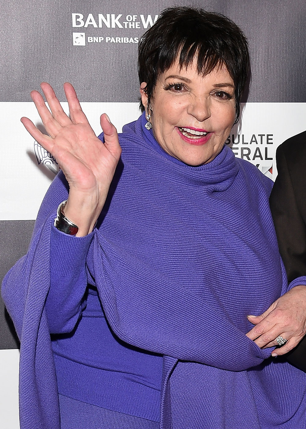 Liza Minnelli denies claims she reached out to Harry | New Idea